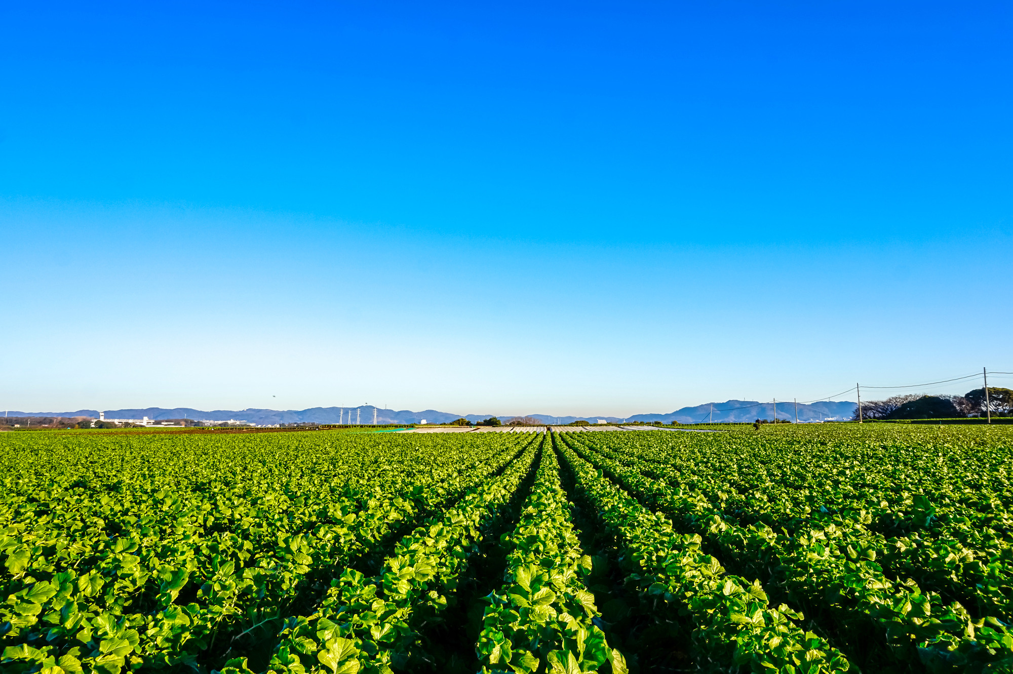 農業におけるM&Aの手法とは？プロセス・事例を解説！ DawnX株式会社